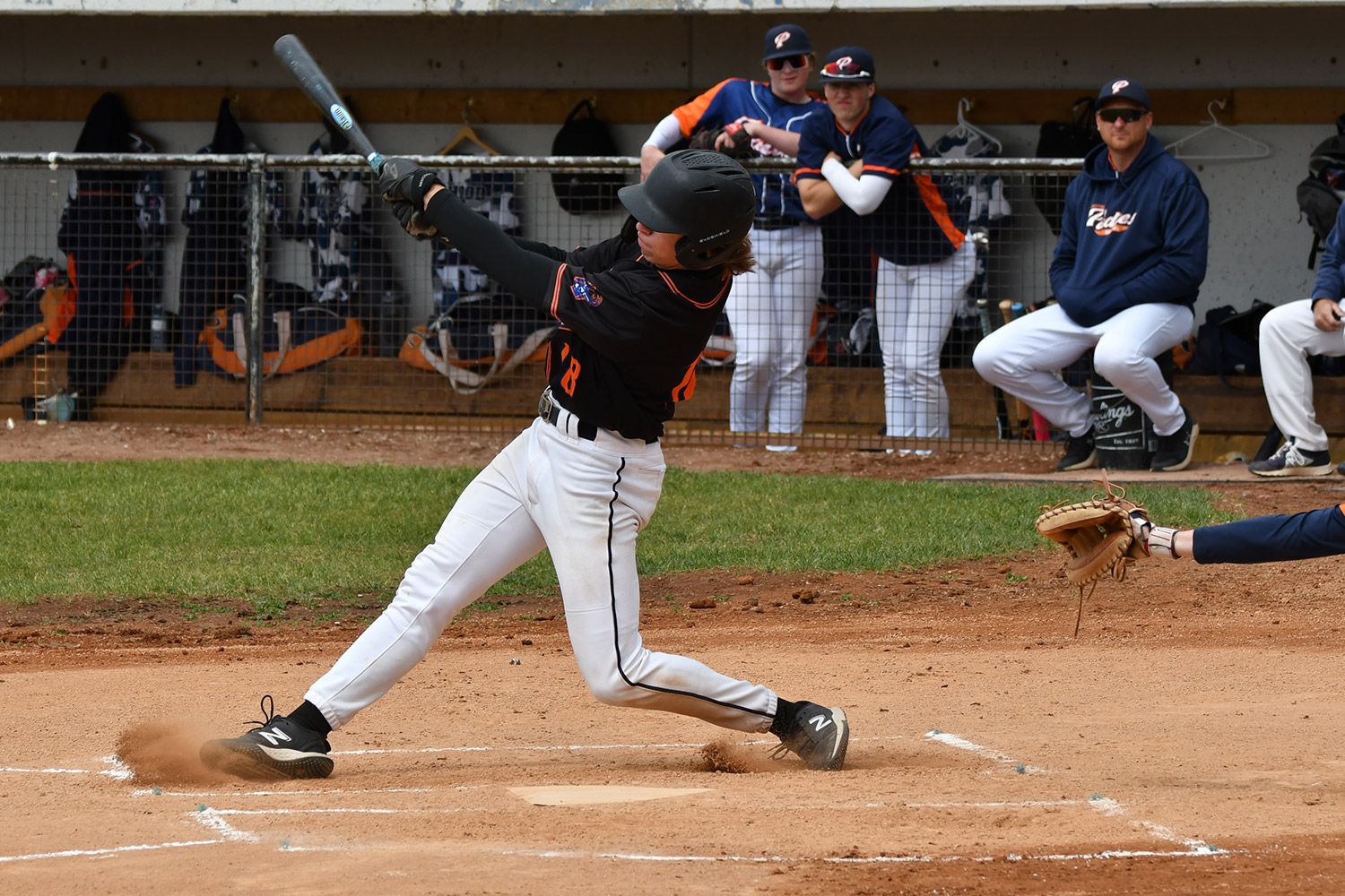 Teams - Calgary Bucks Baseball